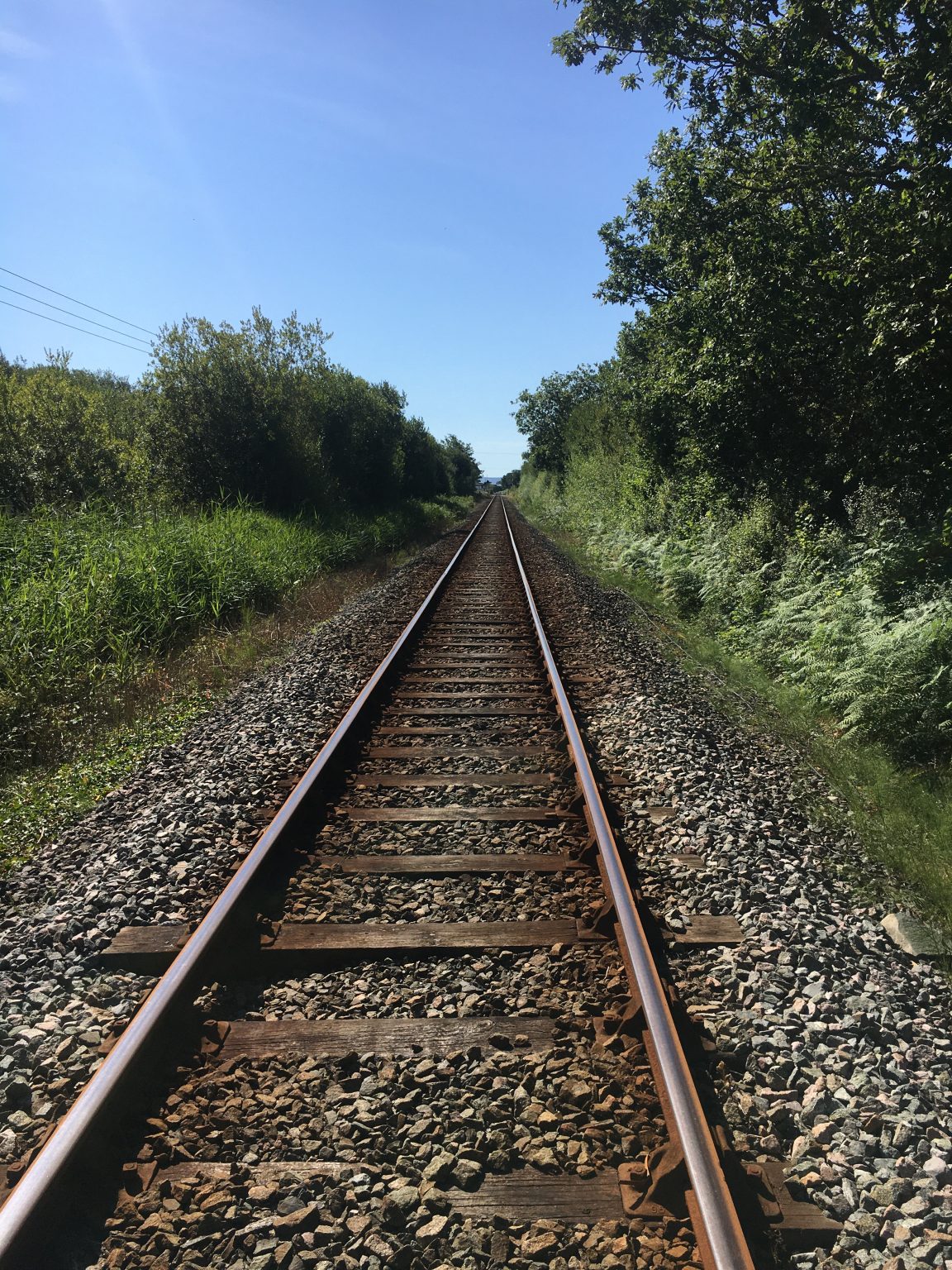 New year new strategy! - Community First Oxfordshire