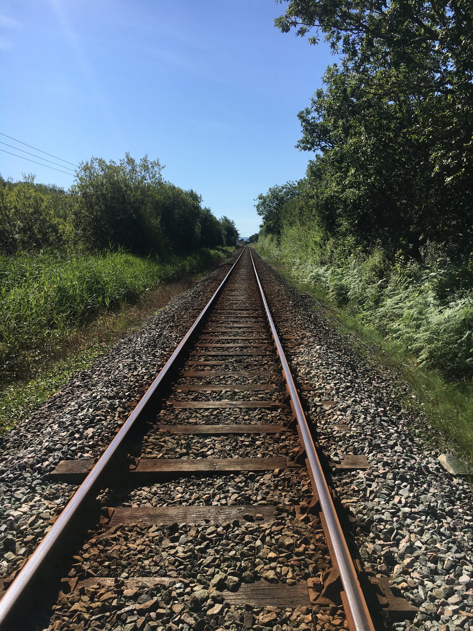 New year new strategy! - Community First Oxfordshire